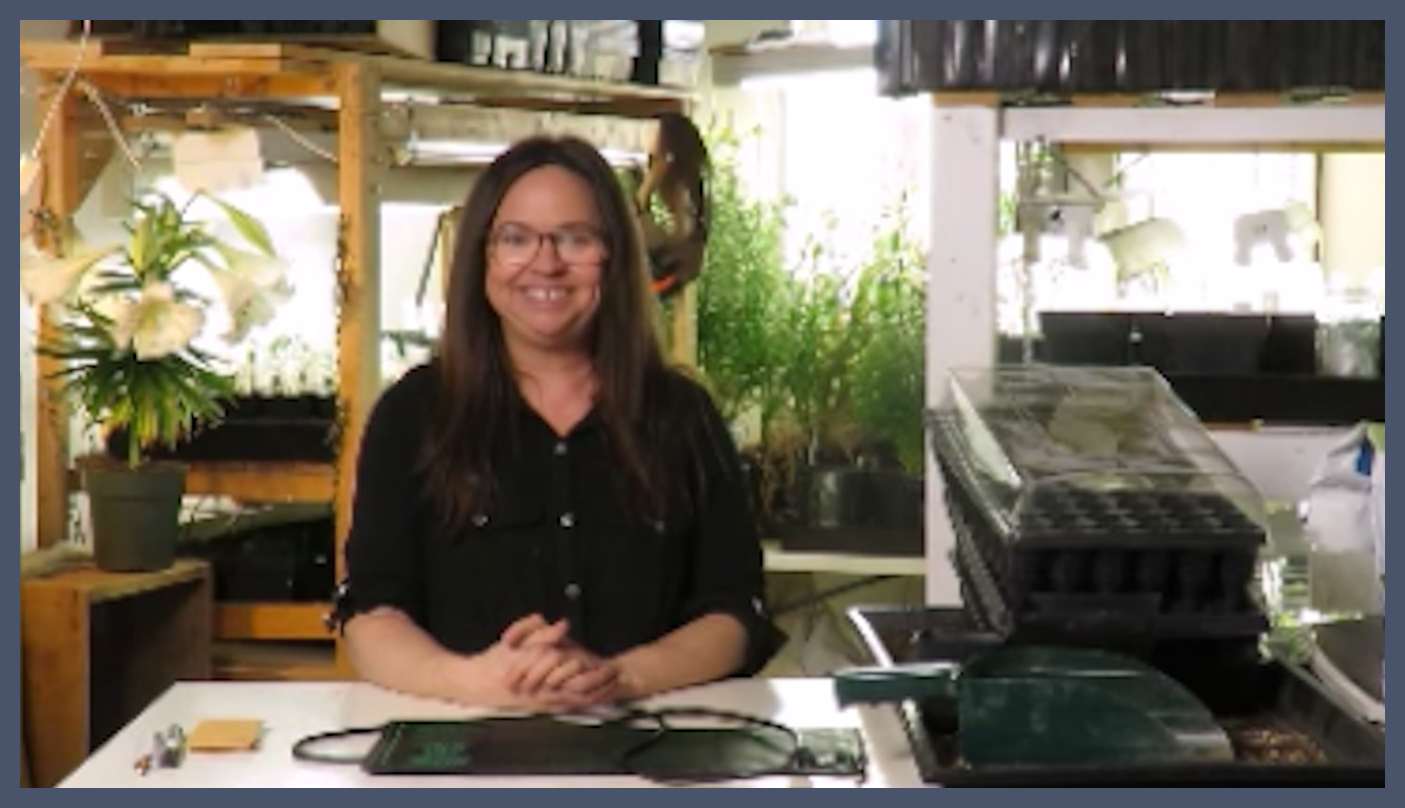 Lilyfield Farm - Lilies & Daylilies On The Canadian Prairies